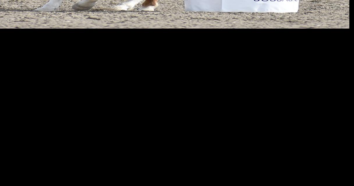 Junior Rodeo gallops its way to Nespelem | Sports | omakchronicle.com