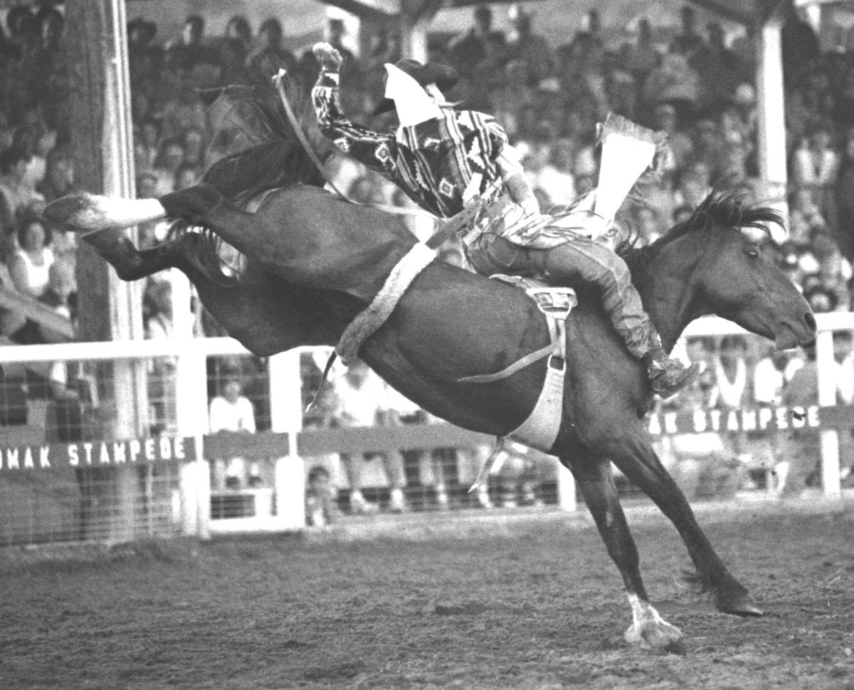 View from the Sidelines: A look at Stampede rodeo records | Sports ...