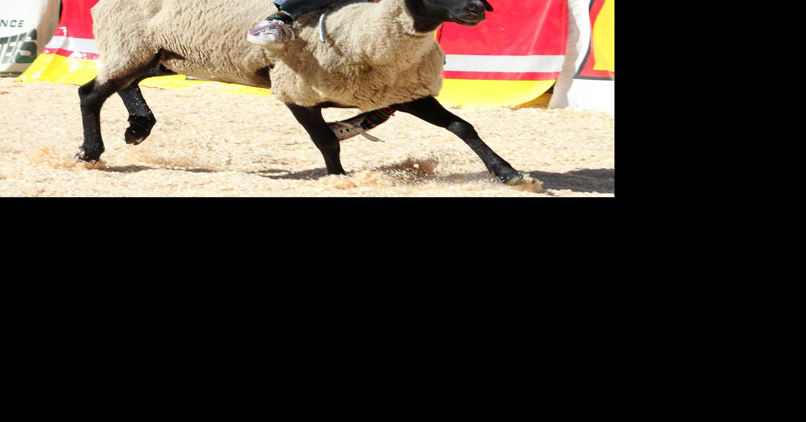 Sunday Mutton Bustin' riders win awards | Lifestyle | omakchronicle.com