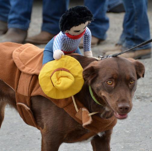 Chesaw explodes with rodeo action | Sports | omakchronicle.com