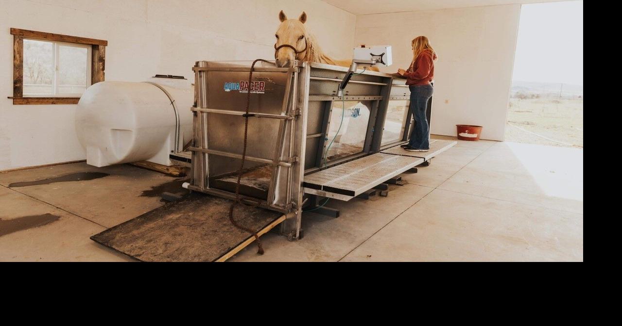 Mikenna Kelpman: Helping horses everywhere | Sports | omakchronicle.com