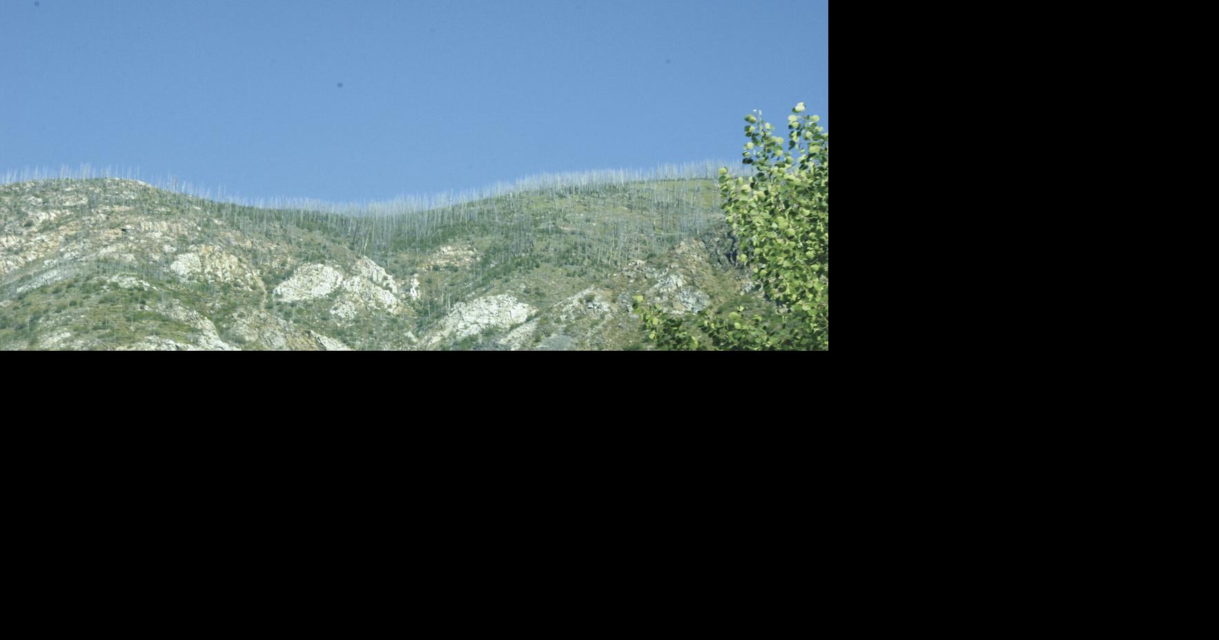 Thirtymile: Wildfire’s 20-year legacy | News | omakchronicle.com