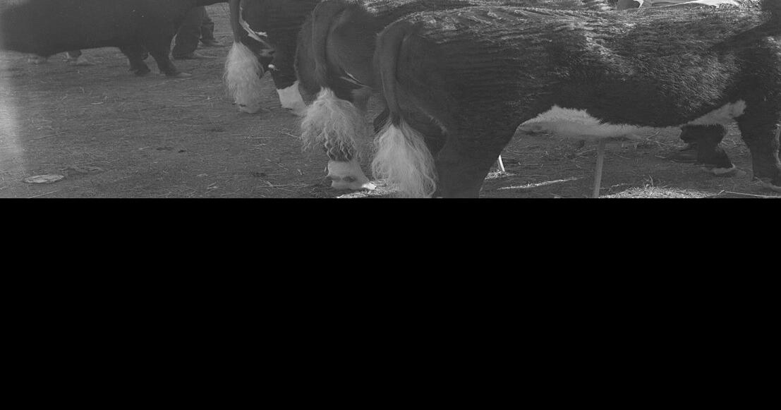 Okanogan County Fair had many locations in early days | Lifestyle ...