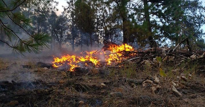 Fire near Nespelem at 4,500 acres | Free | omakchronicle.com