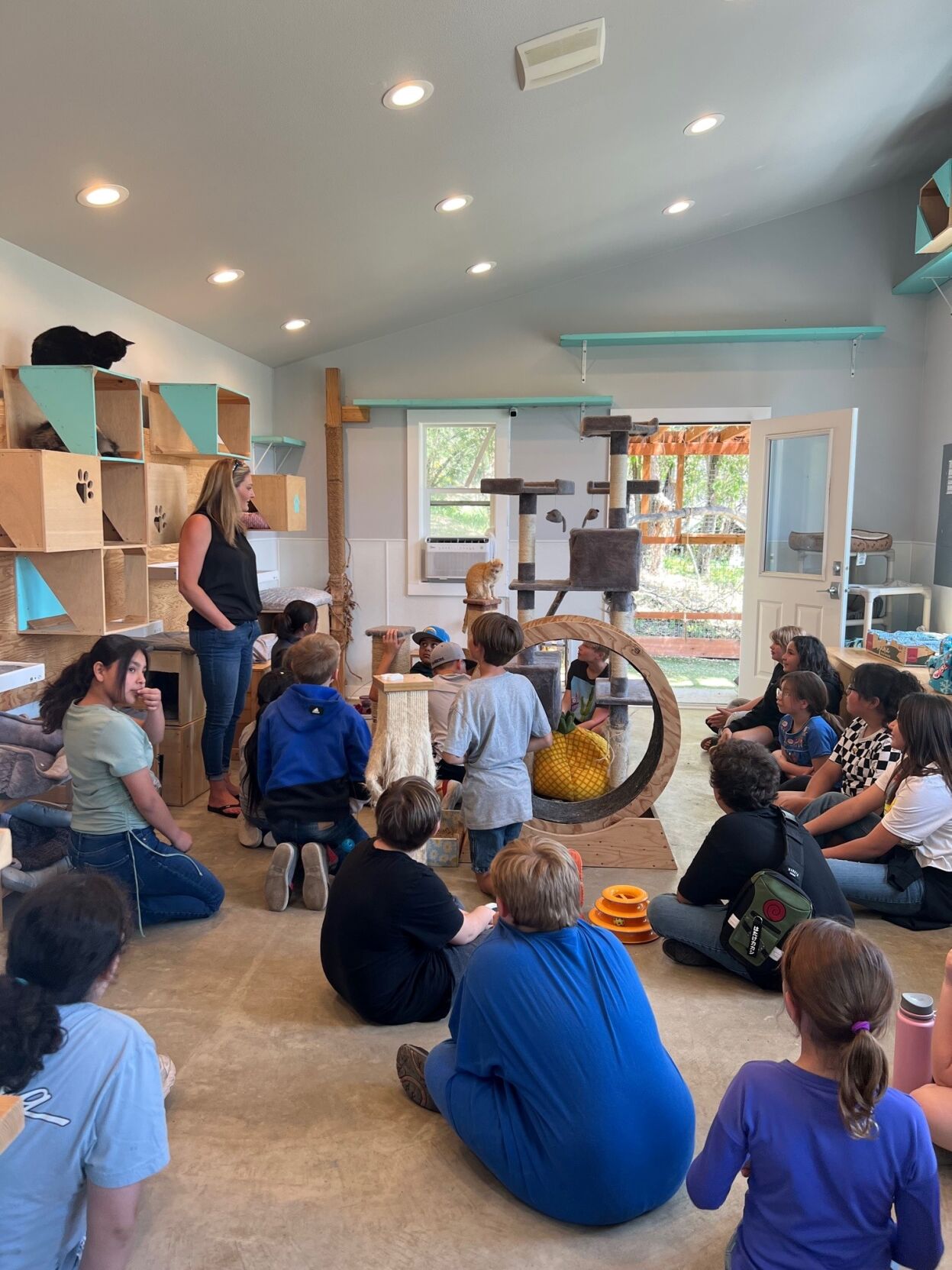 Students visit local cat shelter | News | omakchronicle.com