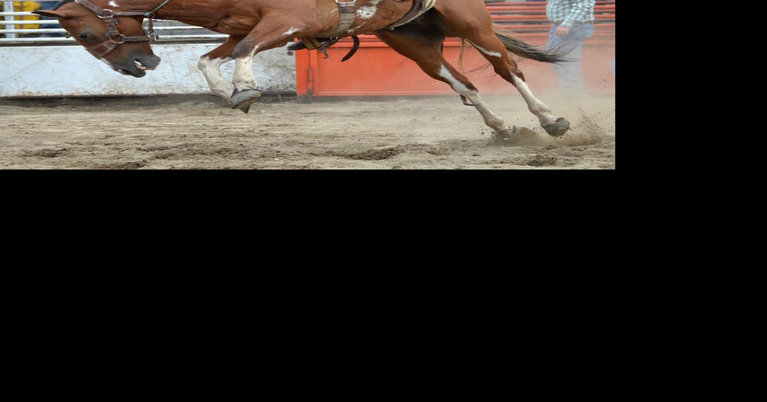 Chesaw explodes with rodeo action | Sports | omakchronicle.com