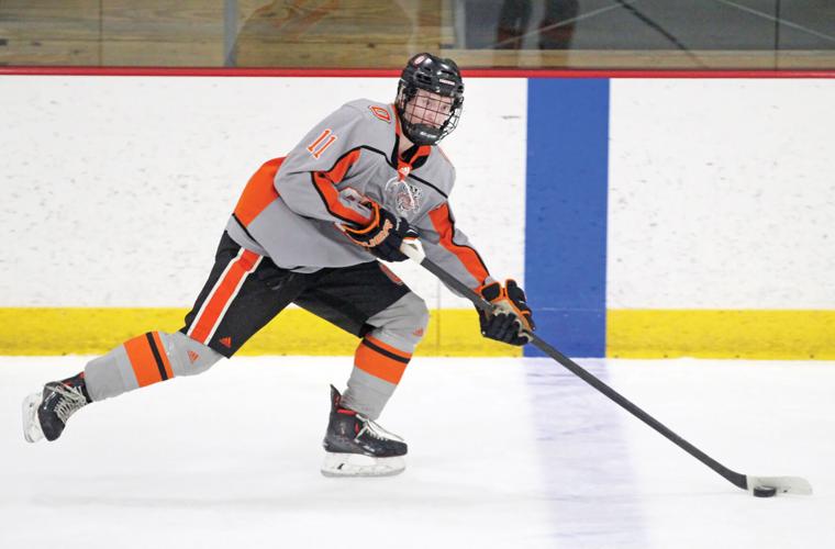 Boys hockey: Kyle Rohrer, Andrew Jicha named all-state | Sports ...