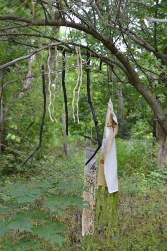 Earth Connections Land Art Exhibit returns to Farley Center through Oct ...