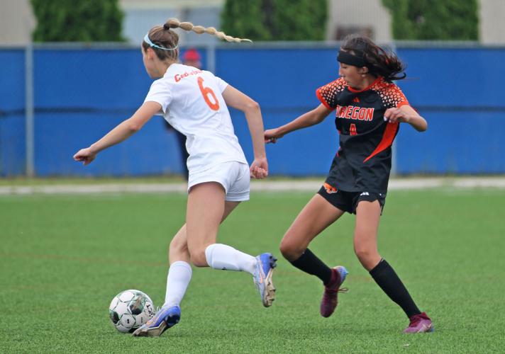 Photos: Oregon vs. Cedarburg WIAA Division 2 State Semifinal ...