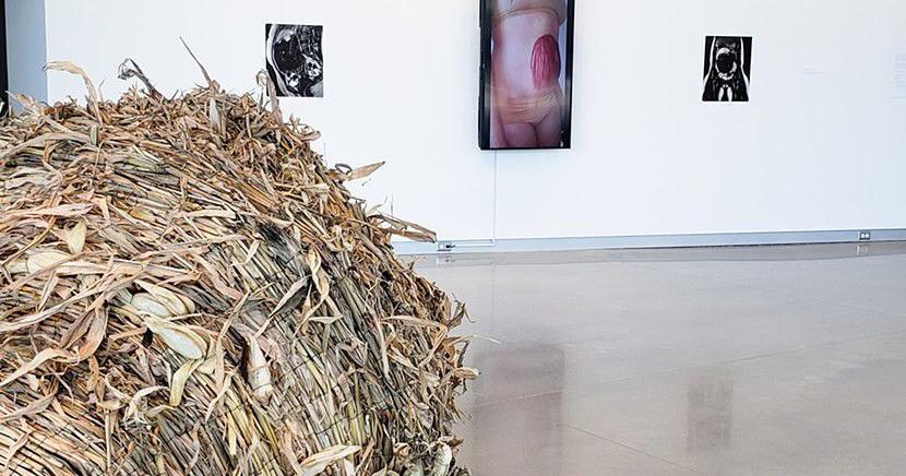 Oregon farm inspires artist Kelly Murray’s latest exhibit | Community ...