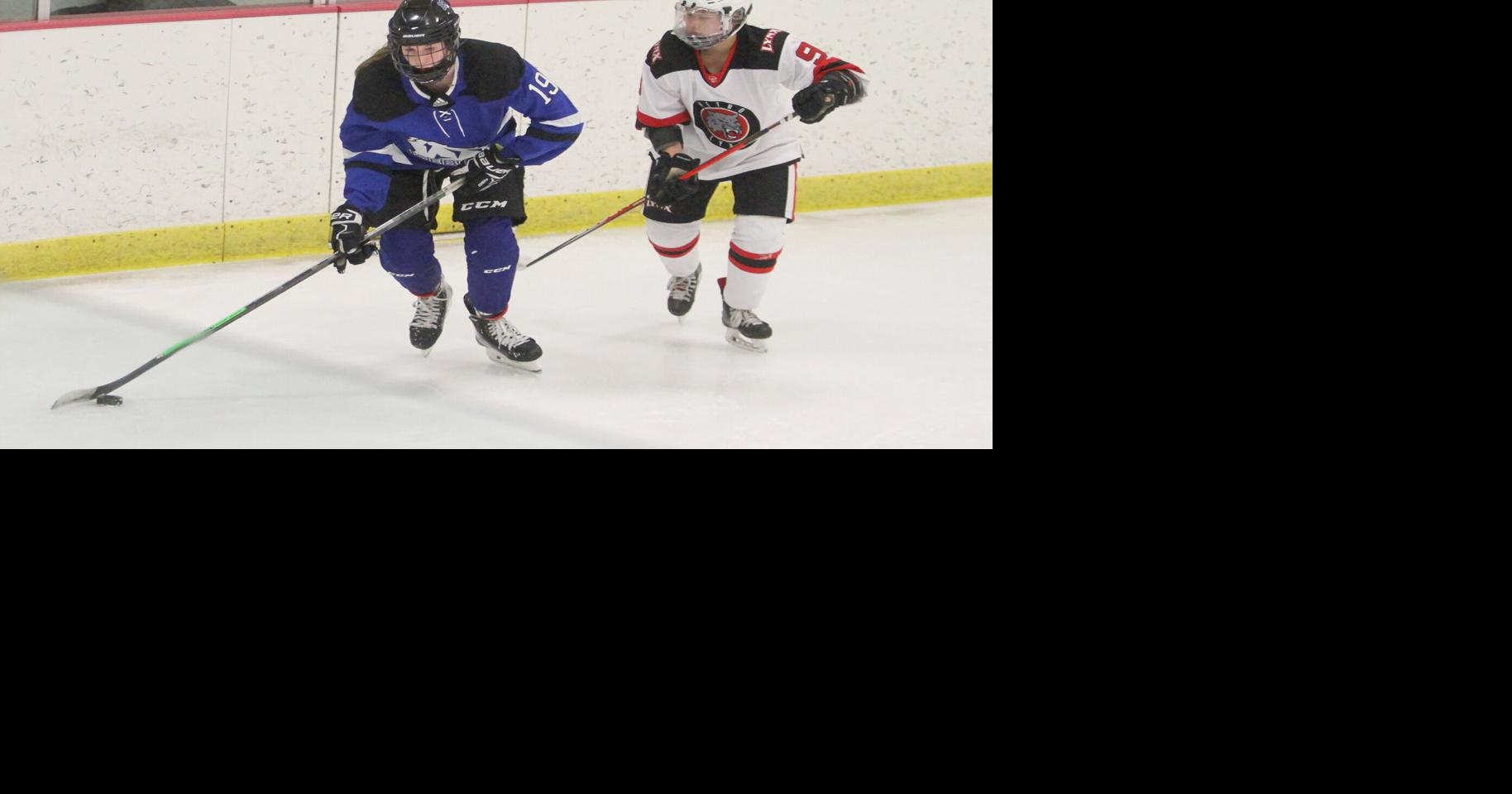 Girls hockey: Power play stalls for Stoughton Icebergs in sectionals ...