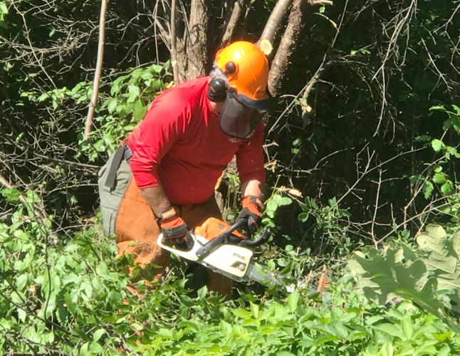 Snow's Eagle Scout project cleans up woods behind Oregon Middle School ...