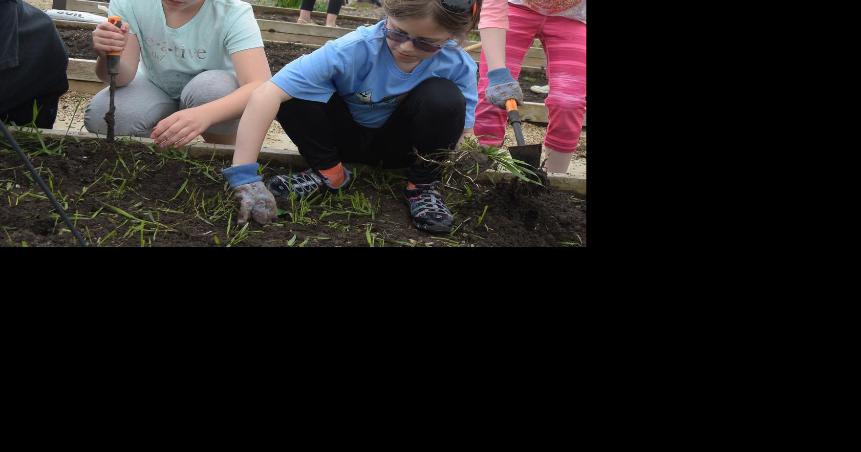 All six OSD schools earn top state health honors | SCHOOLS ...