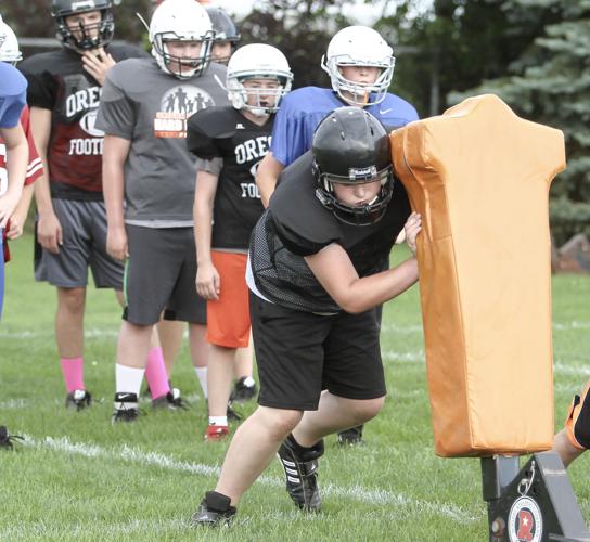 Football: Panthers get ready for 2017 season at PRIDE football camp ...