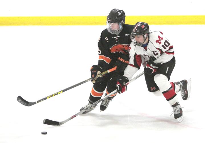 Boys hockey: Panthers clean up against bottom of Badger South ...