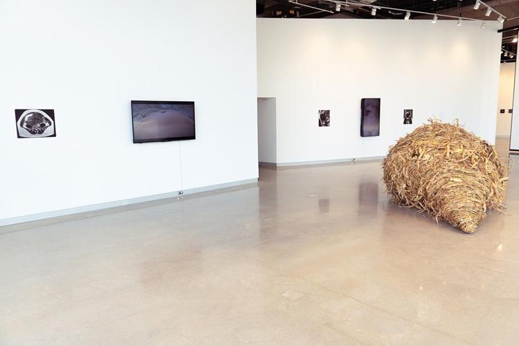 Oregon farm inspires artist Kelly Murray’s latest exhibit | Community ...
