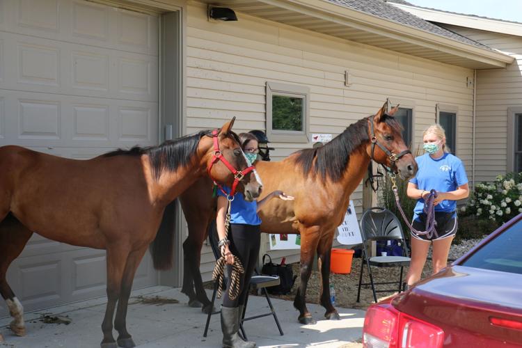Oregon Headliners host drive-through fair | Archives | oregonobserver.com