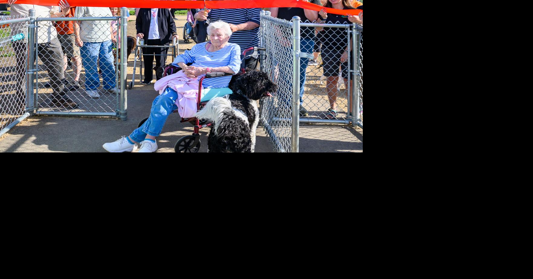 PHOTOS: Anderson Farm County Park dog park now open | LOCAL NEWS ...