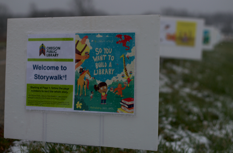 'So you want to build a library:' Community leaders reflect on new ...