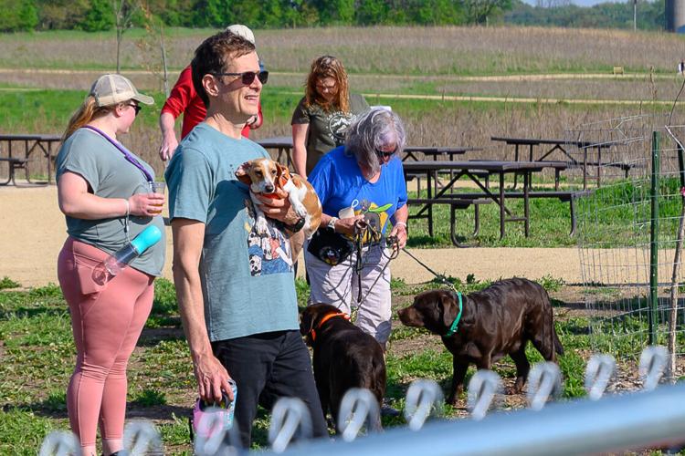 PHOTOS: Anderson Farm County Park dog park now open | LOCAL NEWS ...