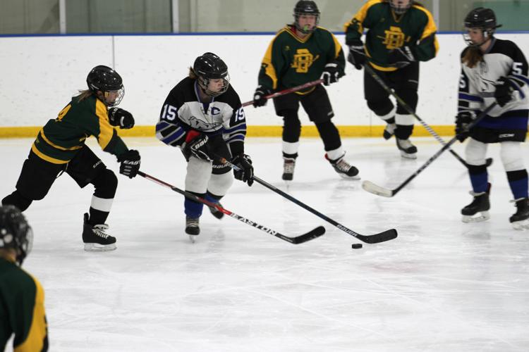 Girls hockey: Newton, Stoughton players power Icebergs to victories ...