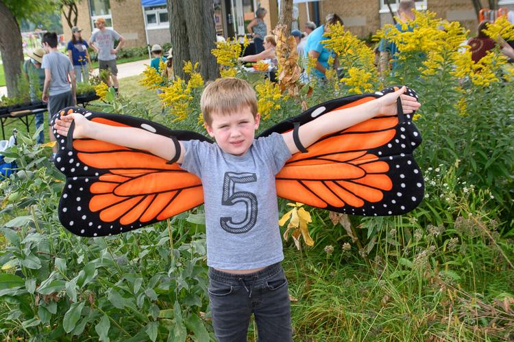 PHOTOS: Oregon Nature Alliance hosts Monarch Festival | Community ...