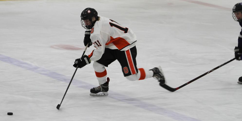 Boys hockey: Panthers’ offense clicking amid winning streak | Sports ...
