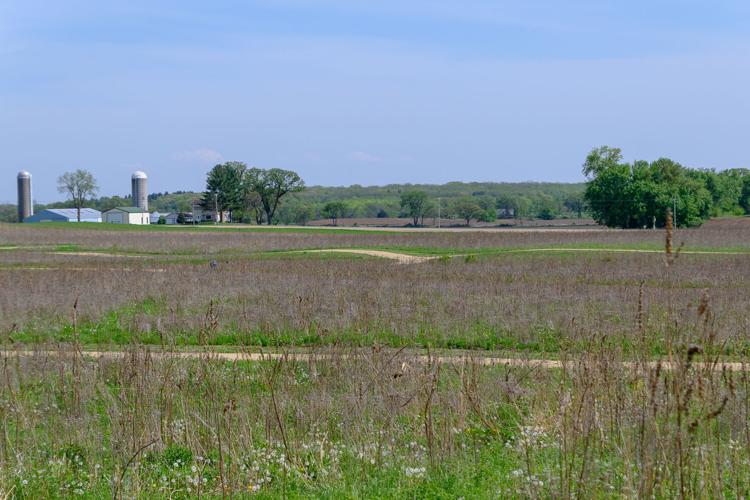 PHOTOS: Anderson Farm County Park dog park now open | LOCAL NEWS ...