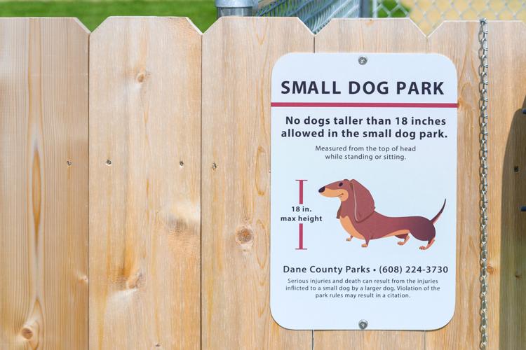 PHOTOS: Anderson Farm County Park dog park now open | LOCAL NEWS ...
