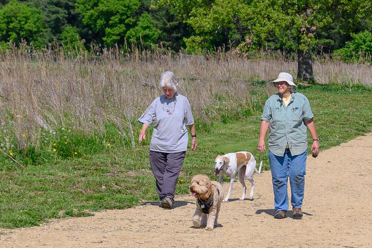 PHOTOS: Anderson Farm County Park dog park now open | LOCAL NEWS ...