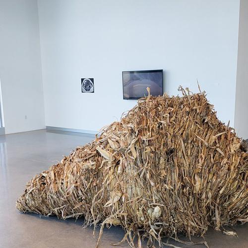Oregon farm inspires artist Kelly Murray’s latest exhibit | Community ...