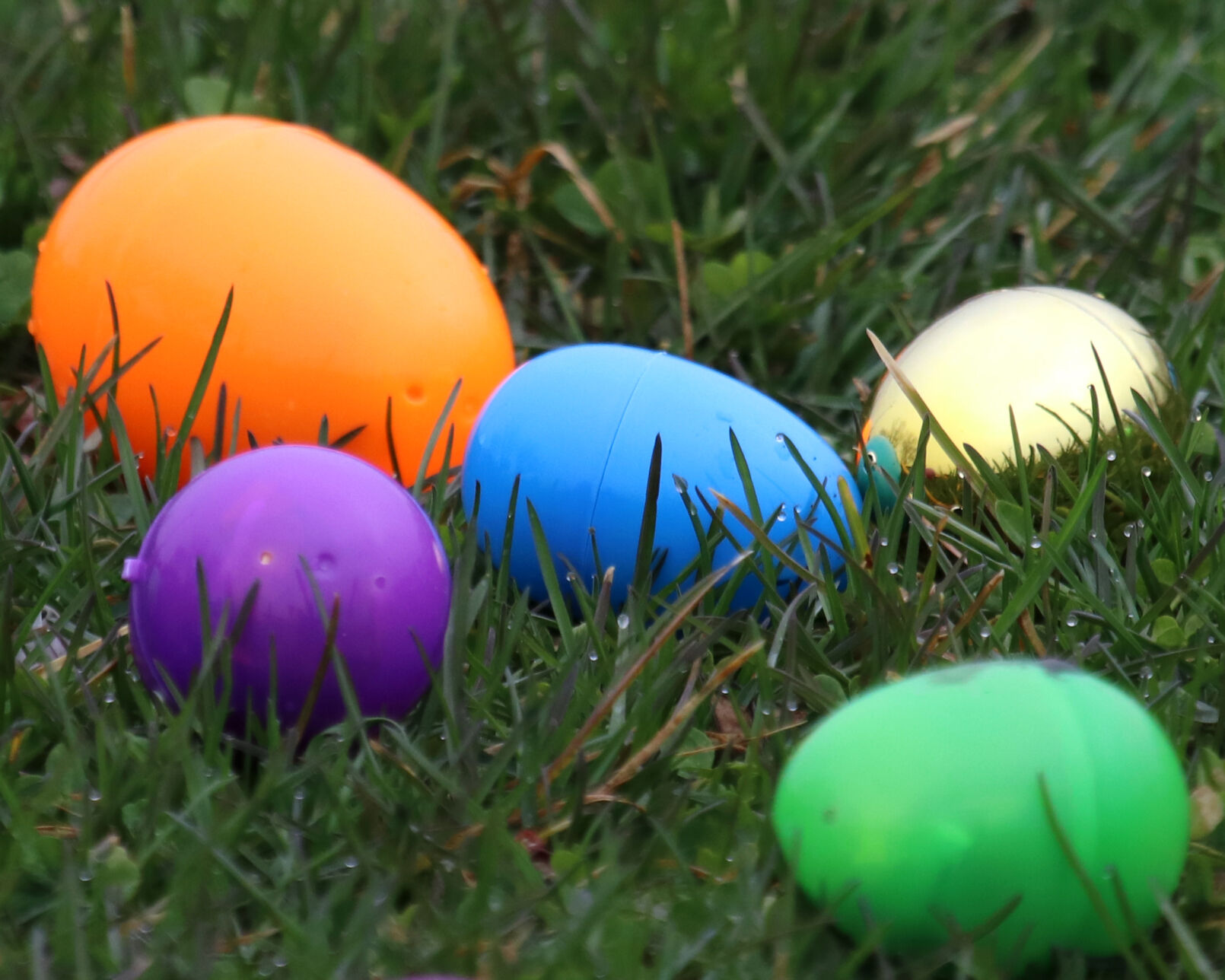 An egg-cellent time for all : Oregon Fire Department/EMS hosts annual ...
