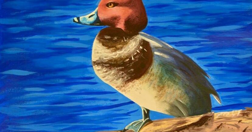 OHS students dominate Federal Junior Duck Stamp Contest | LOCAL NEWS ...