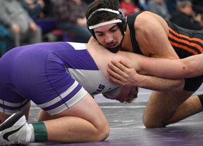 Wrestling: Panthers advance three to sectionals | Sports ...
