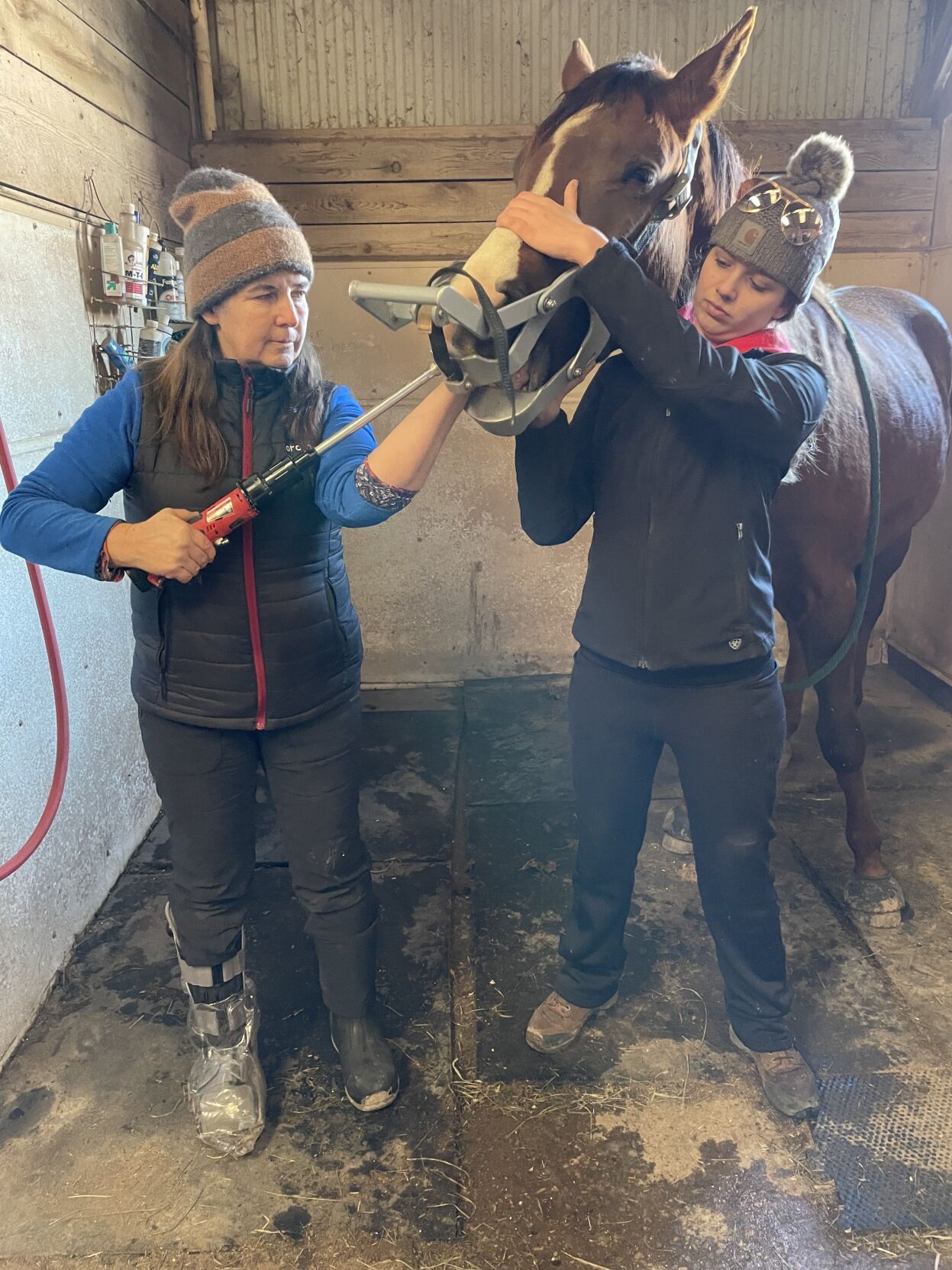 OHS FFA’s Cheyenne Johnson a state finalist | SCHOOLS | oregonobserver.com