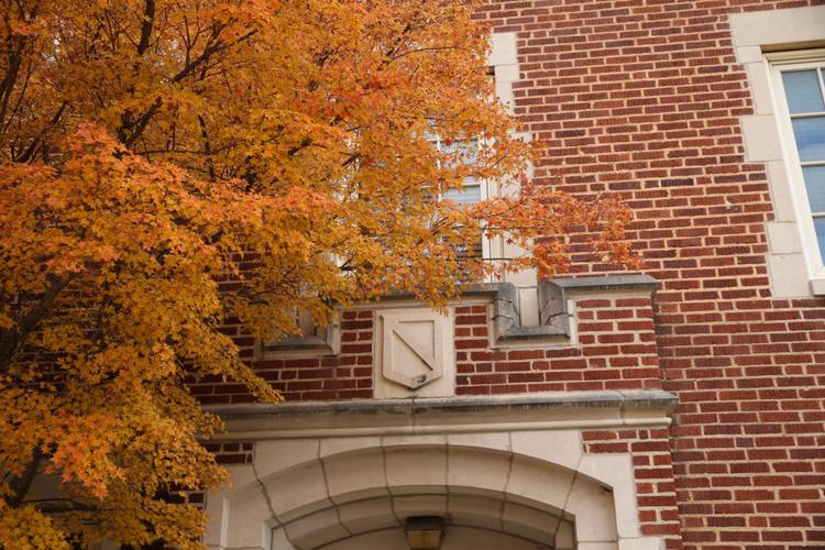 Fall colors decorate OU's campus (photos) | Gallery | oudaily.com