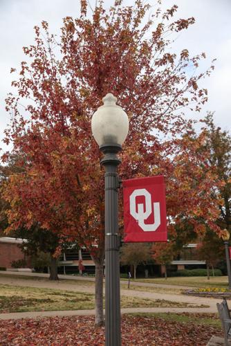 Fall colors decorate OU's campus (photos) | Gallery | oudaily.com