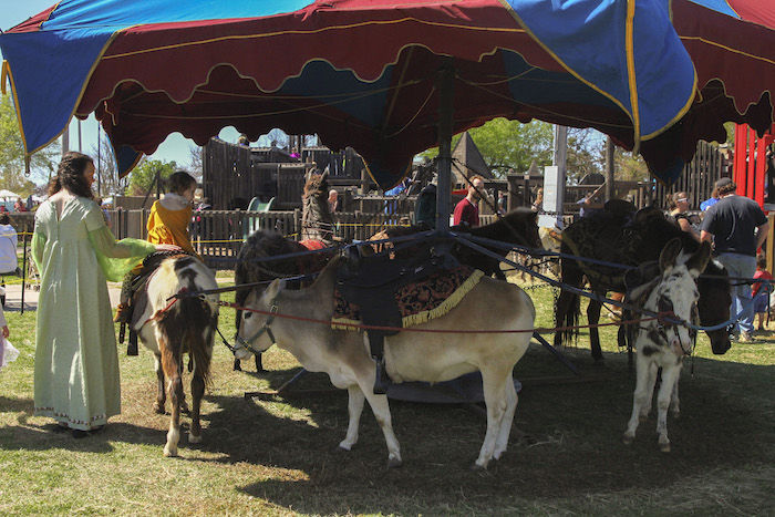 41st Annual Norman Medieval Fair | A And E | oudaily.com