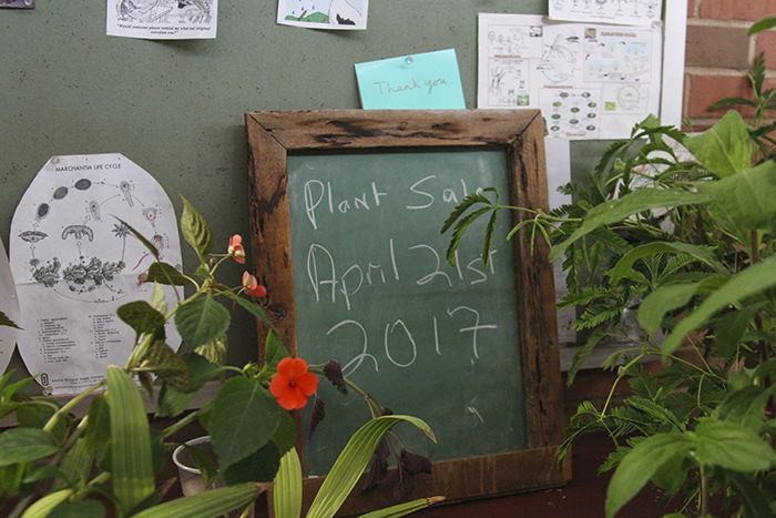 Botany Club's Annual Plant Sale (Gallery) | Gallery | oudaily.com