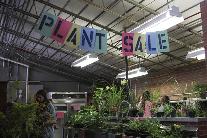 Botany Club's Annual Plant Sale (Gallery) | Gallery | oudaily.com