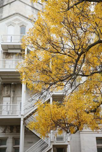 Old Science Hall | | oudaily.com