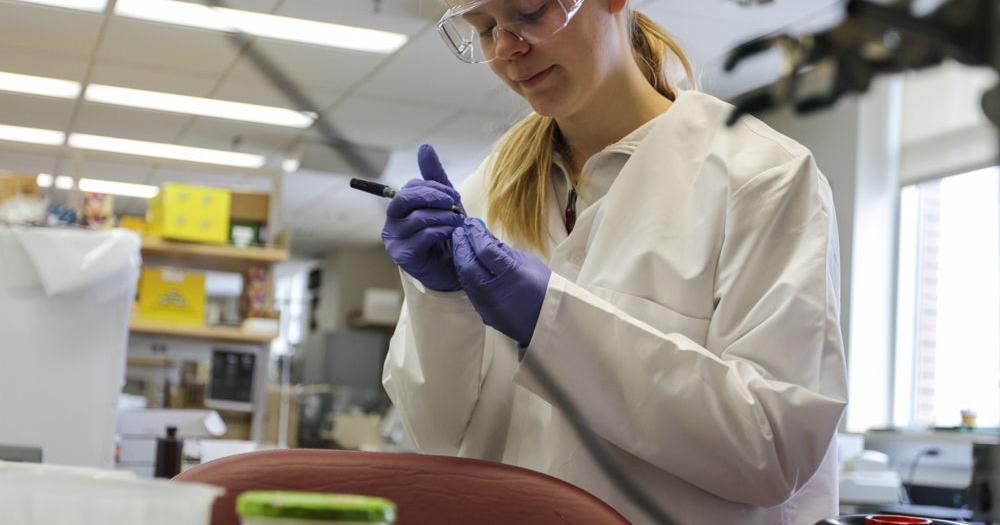 OU freshmen start research career with FYRE program | News | oudaily.com