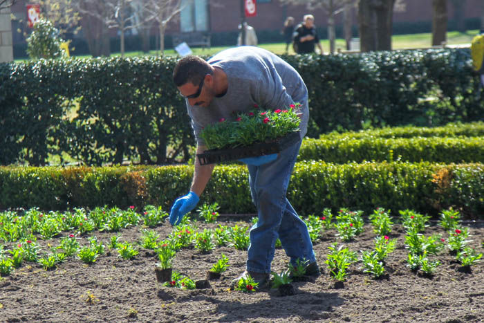 OU landscapers begin work on flower beds (photos) | Gallery | oudaily.com