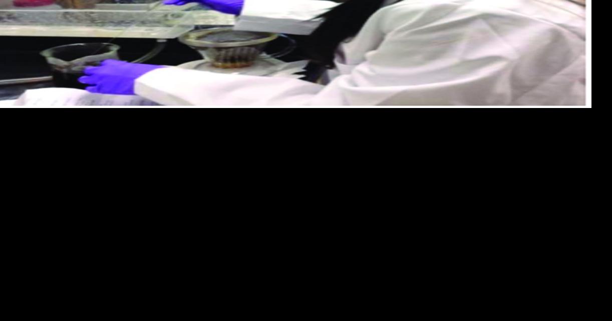 Freshman students to present posters from First Year Research ...