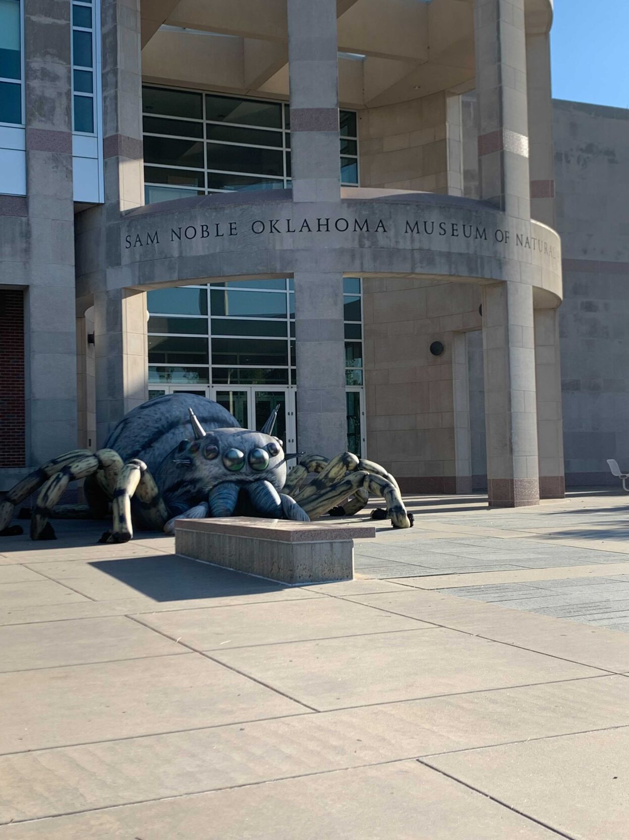 Sam Noble Museum hosts ‘Beautiful Beasts’ exhibit, macrophotography ...