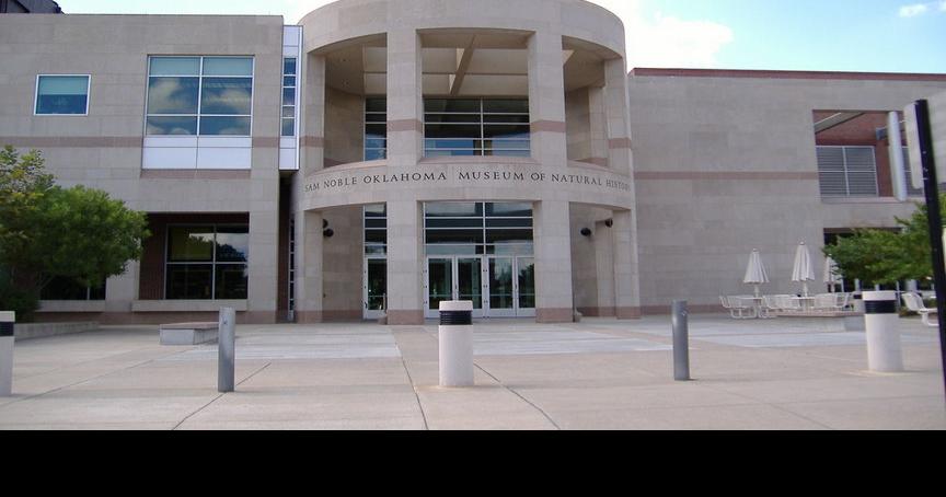 Jaw-dropping megalodon exhibit swims into Sam Noble Museum | A And E ...
