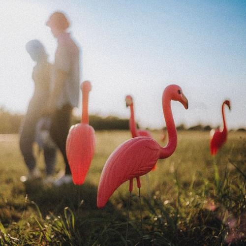 Oklahoma City band 'Bee & The Hive' to release debut EP | | oudaily.com