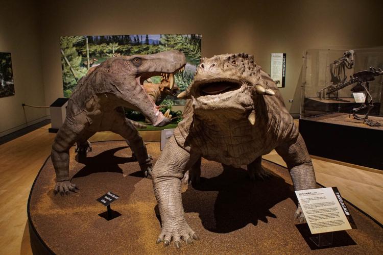 Sam Noble Museum reopens with safety guidelines, new 'Permian Monsters ...