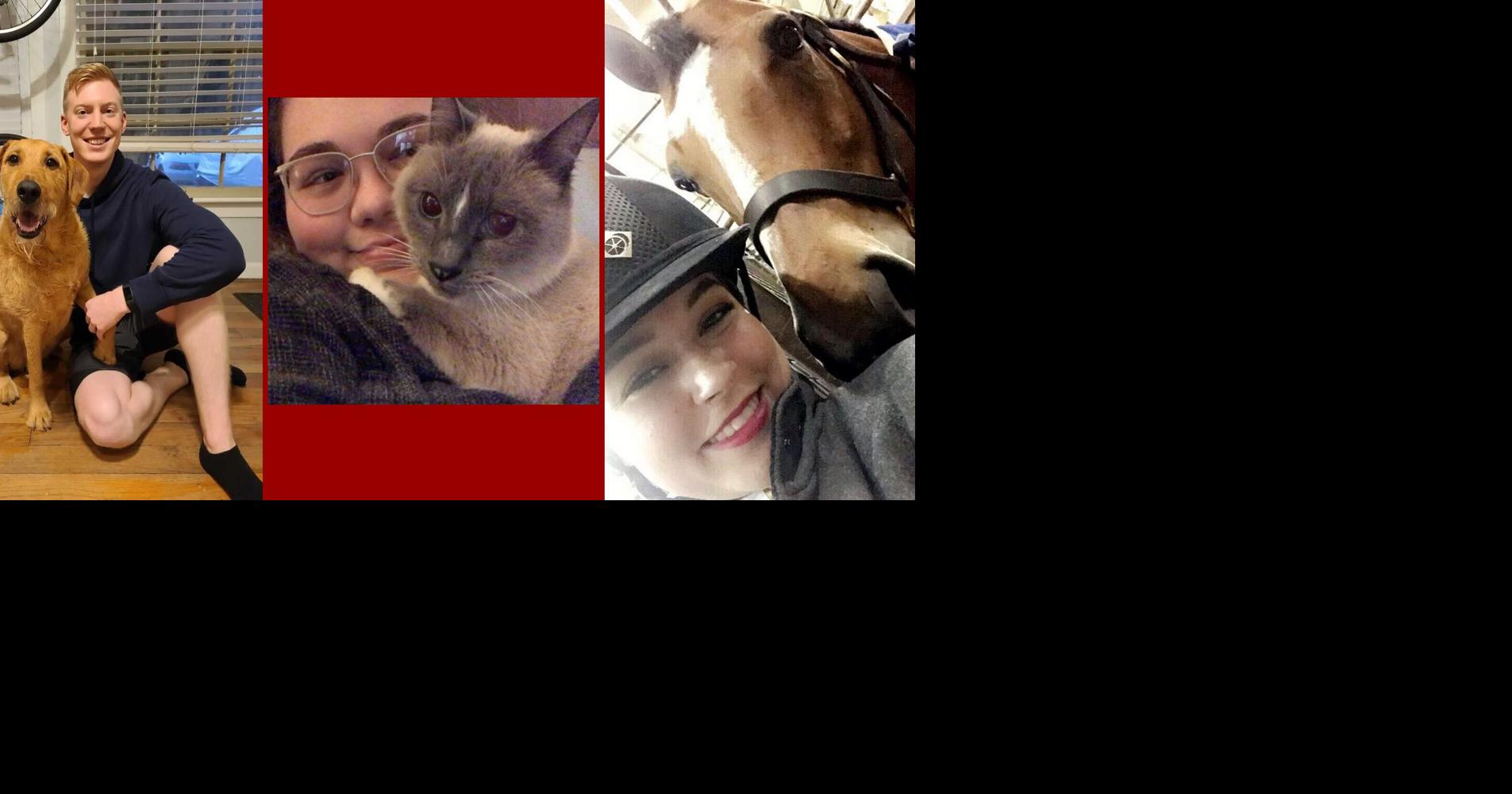 Students find companionship in adopted pets amid online classes, COVID ...