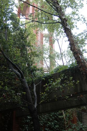 OU Bizzell Memorial Library - Gallery | Gallery | oudaily.com